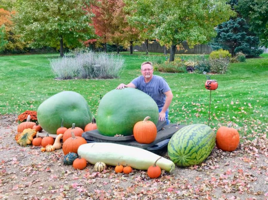 Giant bushel gourd Statistics and Grower Resource