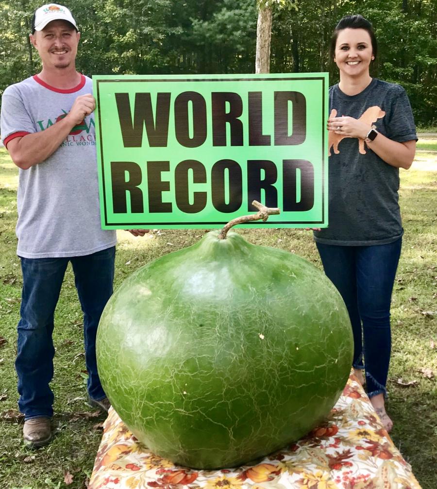 Giant bushel gourd Statistics and Grower Resource