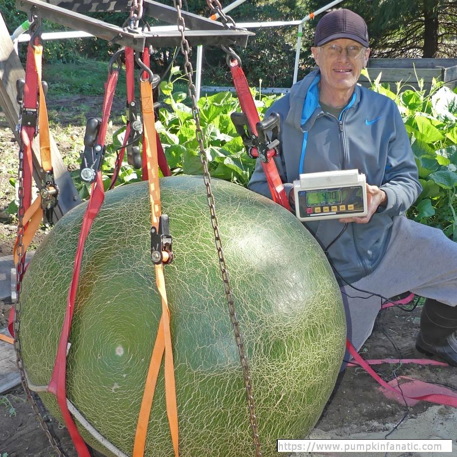 Giant bushel gourd Statistics and Grower Resource